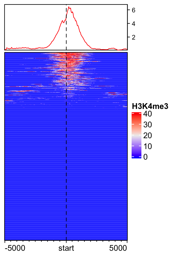 EnrichedHeatmap