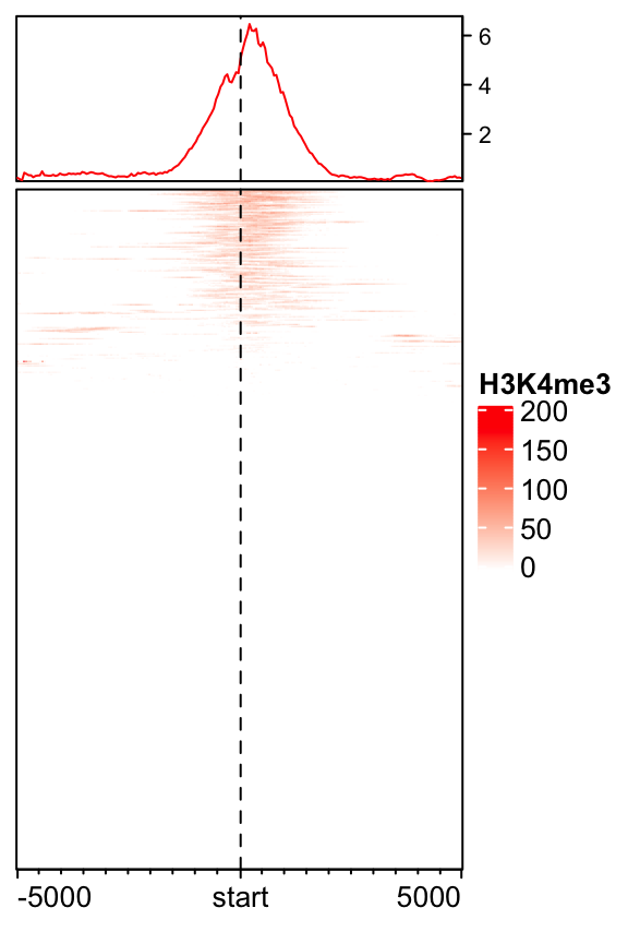 EnrichedHeatmap