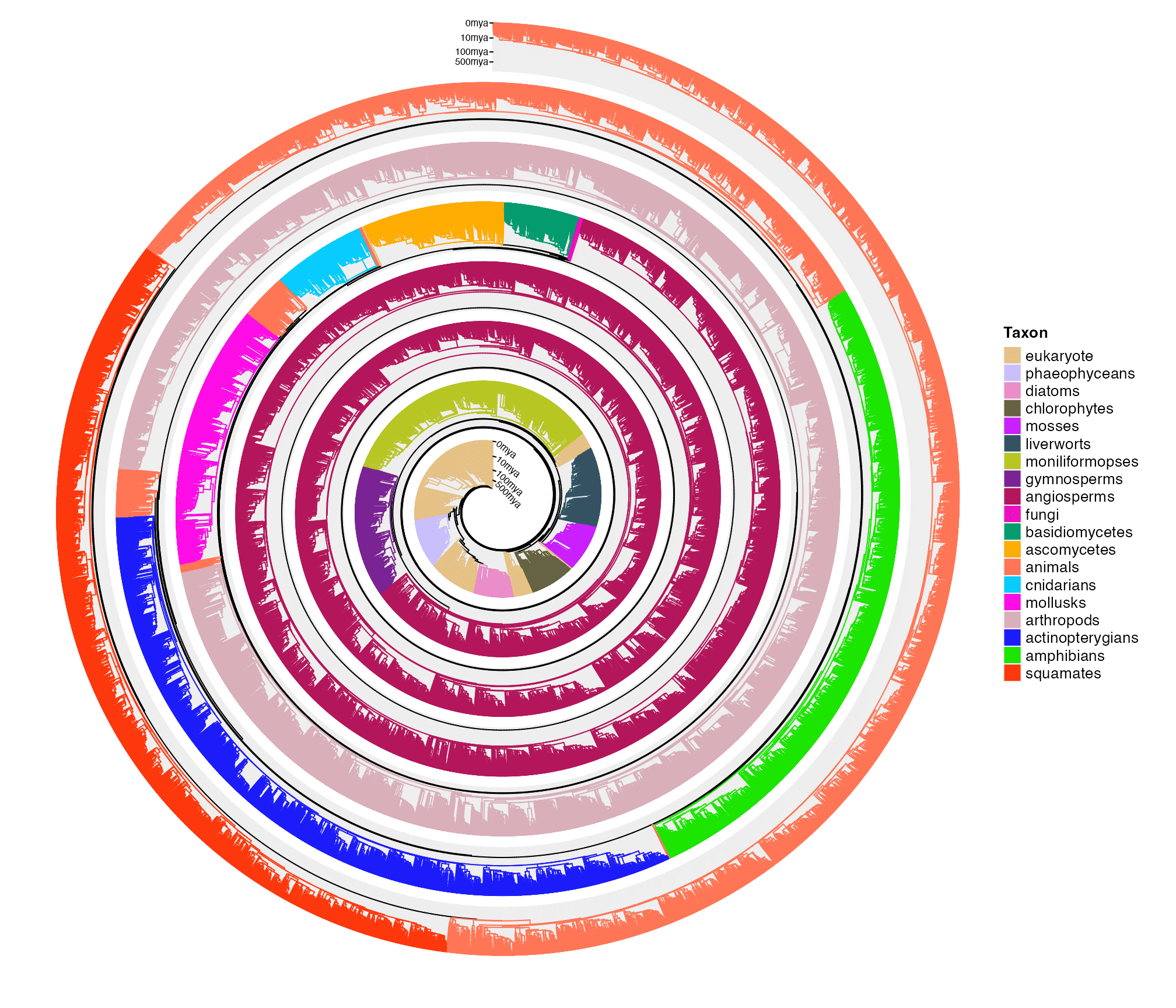 Examples Spiralize